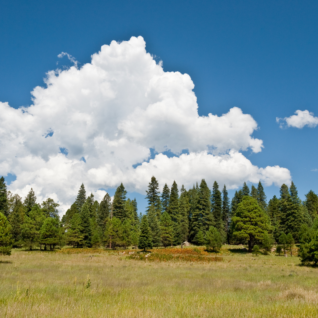 How to Make the Most of Summer – So She Reads